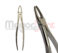FORCEPS RECTO X-FINO PTAS. CERRADAS DENPHER – MayorDent , Líderes en el ...